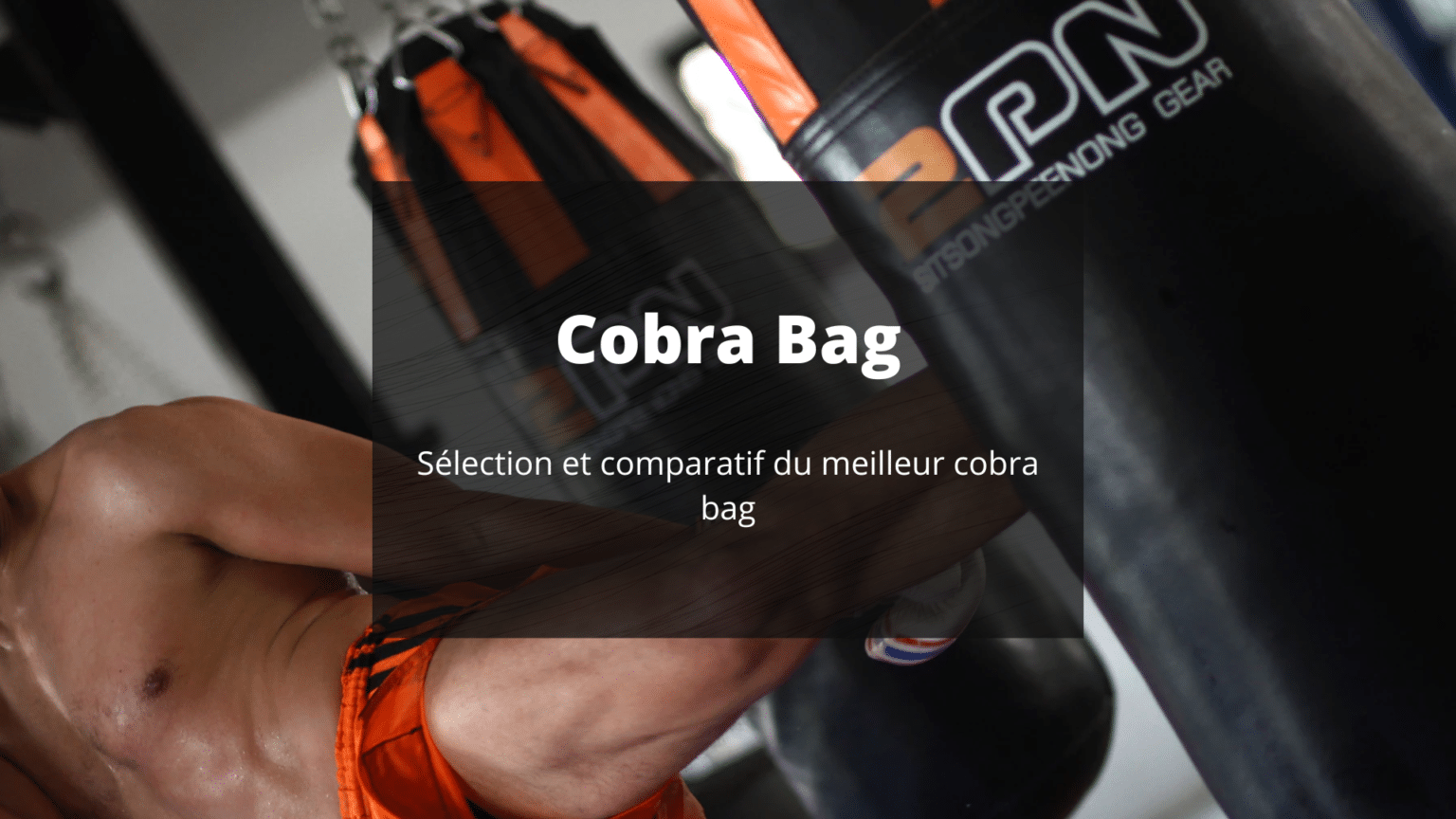 Top 3 du meilleur cobra bag en 2024 : Sélection et Comparatif